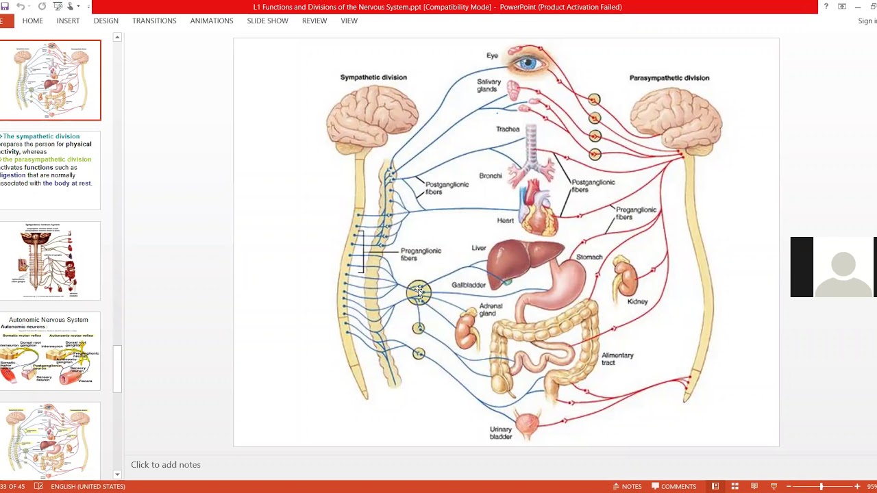 MD 21 19 20 Human Anatomy Session 01 02 part1 - YouTube