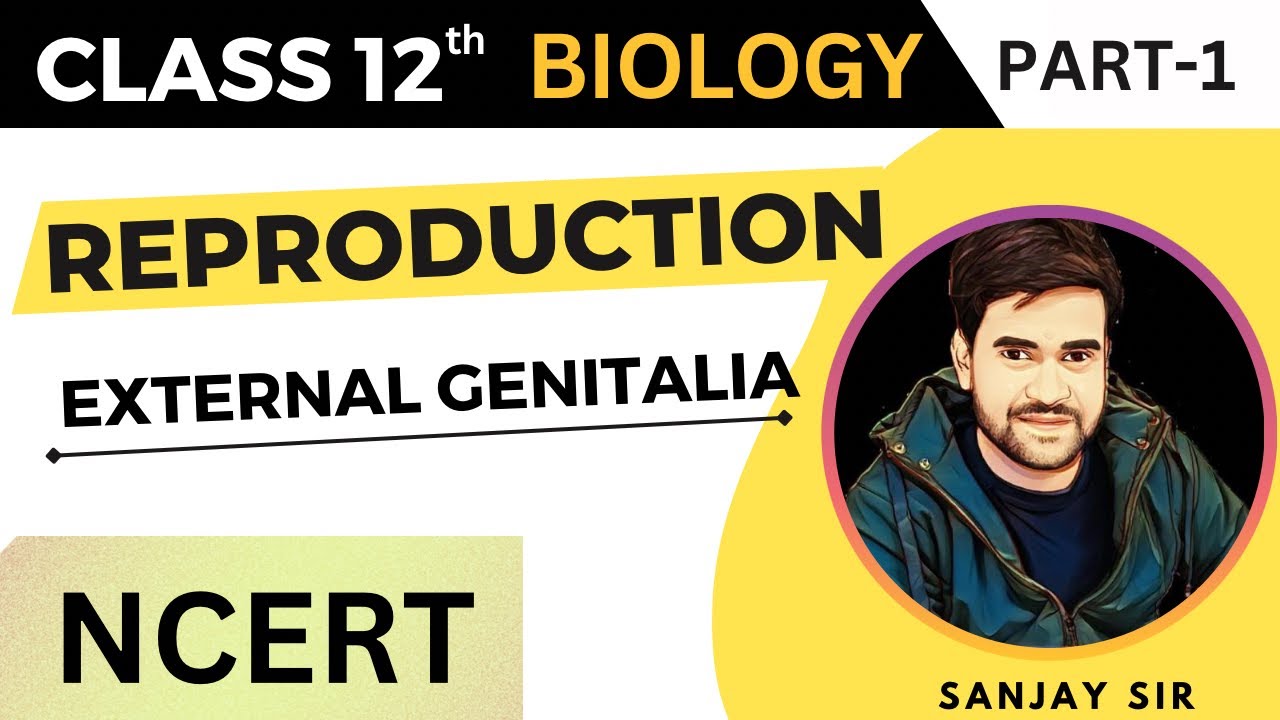 Reproduction || CLASS-12th || PART-1 External Genitalia || Sanjay Yadav ...