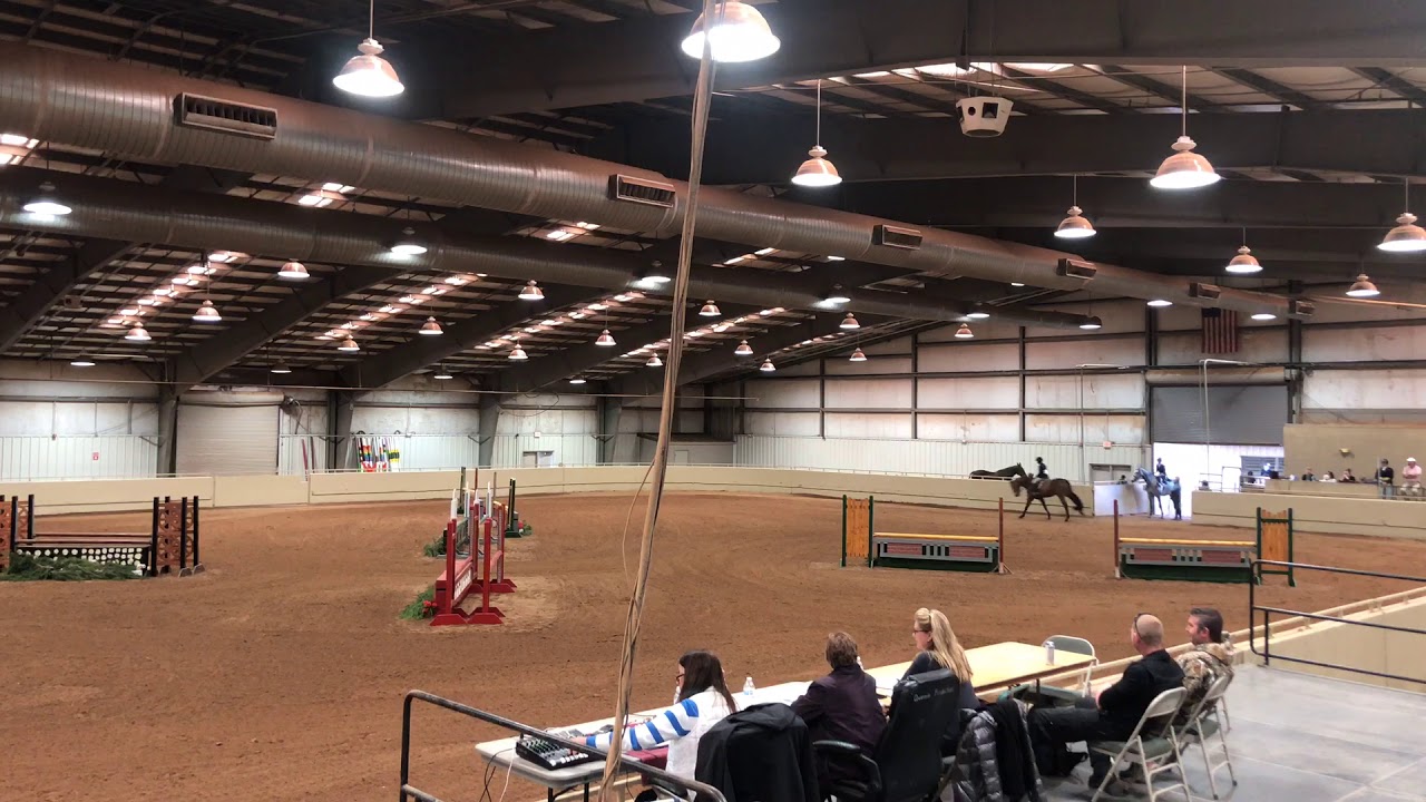 Nice to Have ridden by Sarah Mechlin Duhon winning USHJA National ...