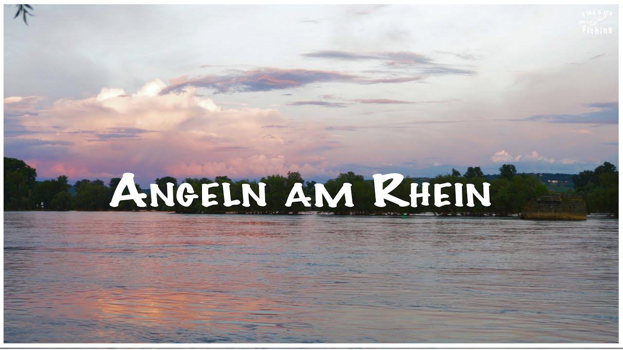 Zander angeln am Rhein mit kleiner Überraschung - YouTube