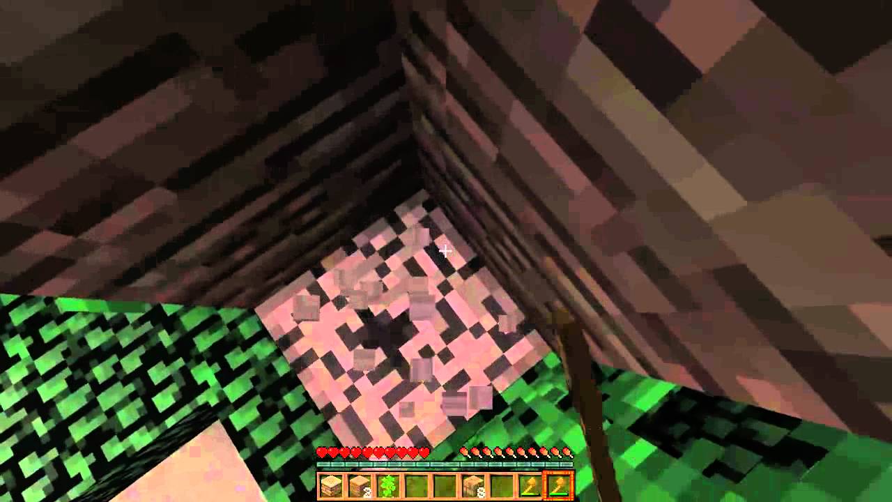 MInecraft Let's Play 1 - Dschungel-Sand Biome [GERMAN HD] - YouTube