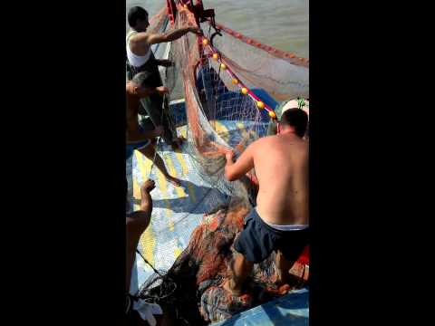 Karadeniz'de kefal ve lüfer avındayız.