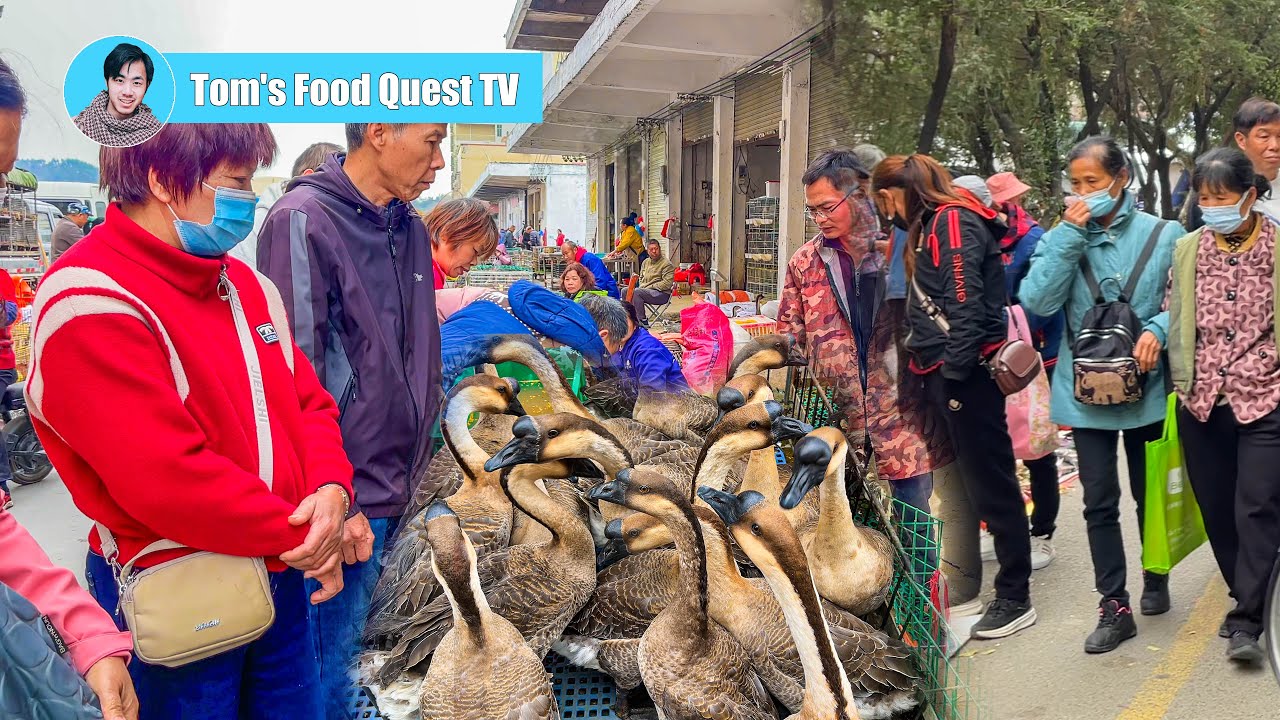 Traditional Market Day in Guangdong, China: Lively Chickens, Ducks ...