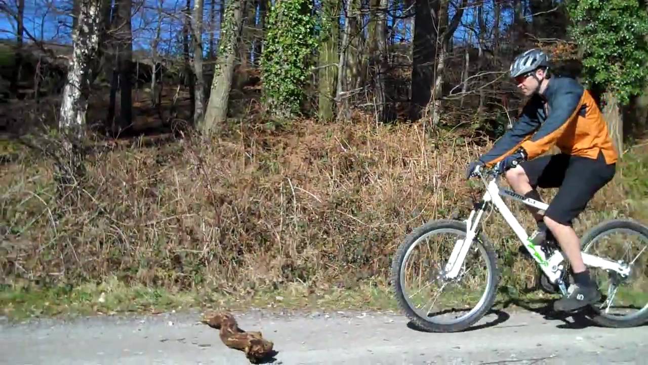 Mountain Biking Core Skills: Power Assisted Front Wheel Lift and Rear ...