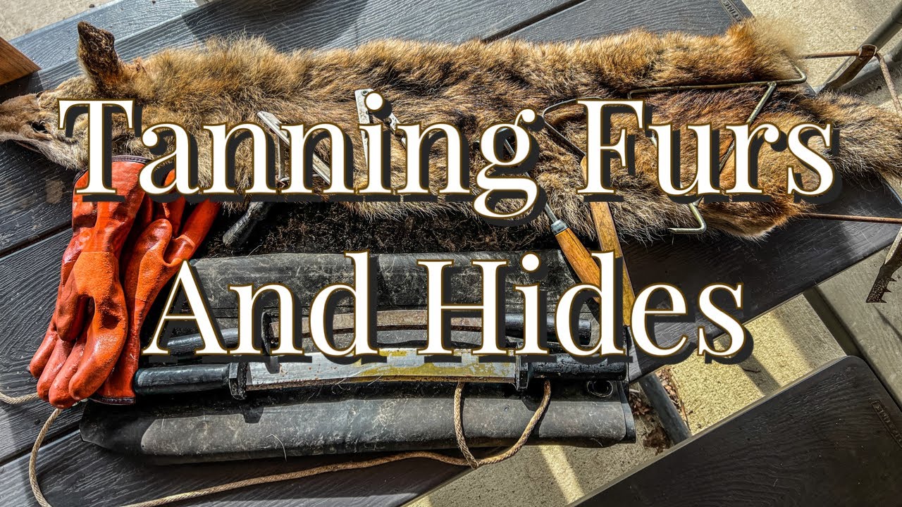 Tanning Furs Part 1 - YouTube