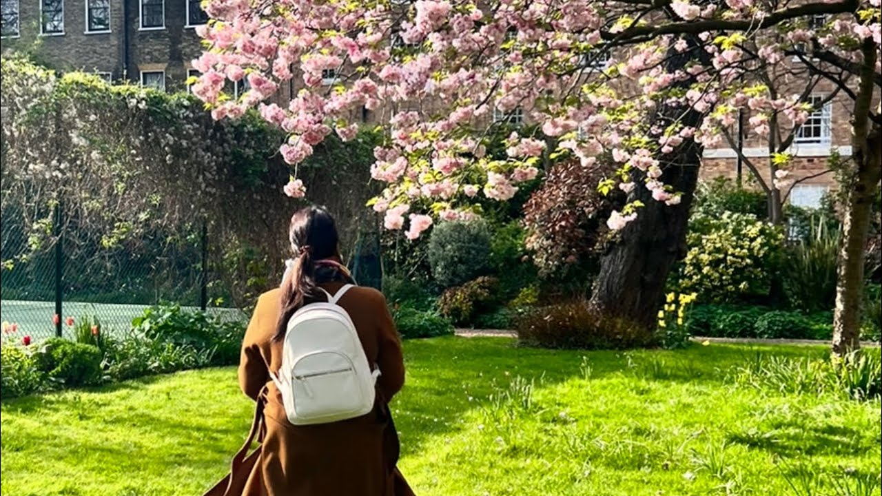 blossom tree + nice weather - YouTube