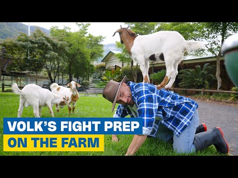 Alex Volkanovski buys a farm to become a better fighter