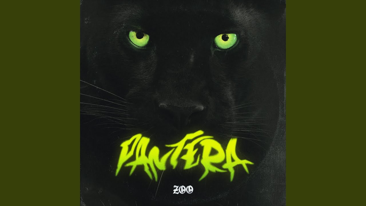 pantera - YouTube