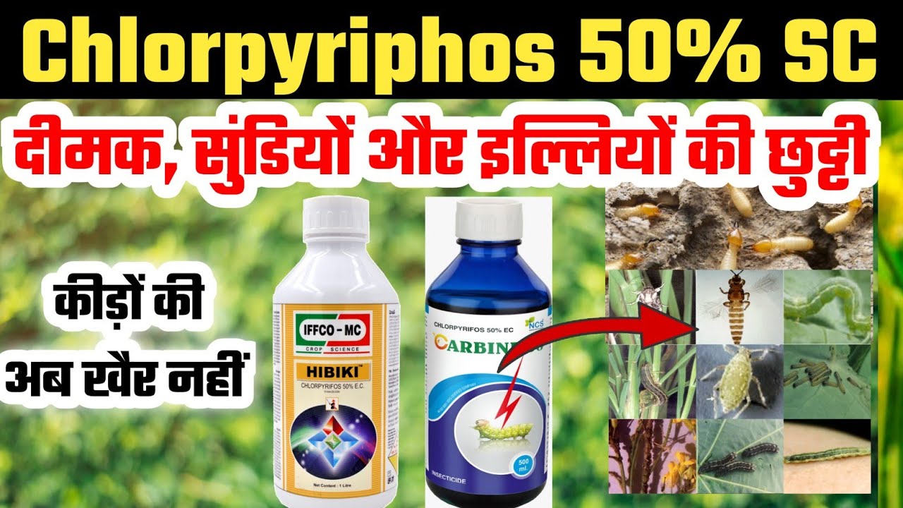 Chlorpyriphos 50% SC Insecticide Uses And Its Benefits Full Information ...