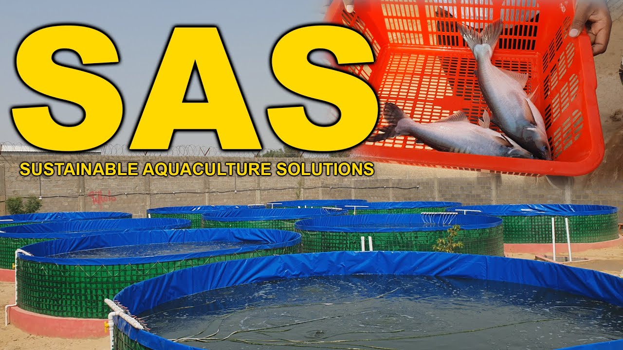 Feasibility & Visit of Sustainable Aquaculture Solutions (SAS) Farm ...