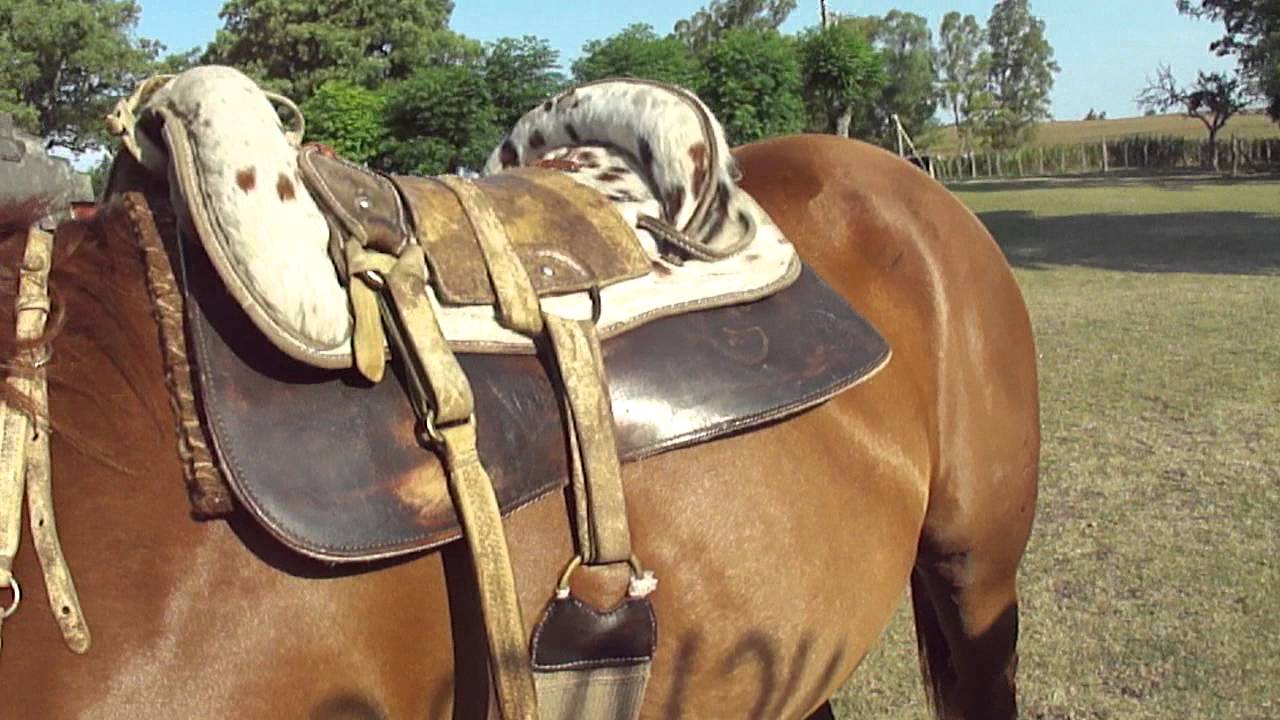 Uruguayan recado - YouTube