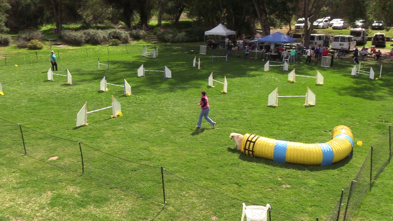 Cooper Jumpers 3 7 20 - YouTube