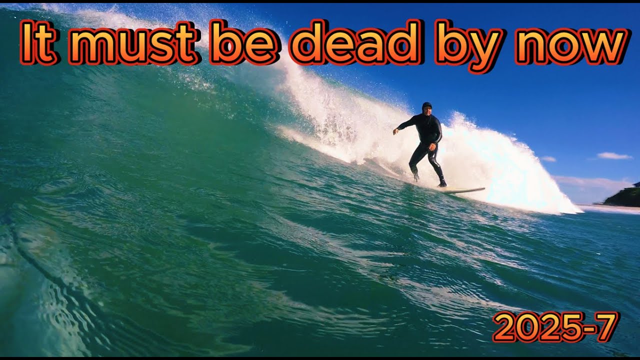 "It must be dead by now! " 2025 - 7 - YouTube
