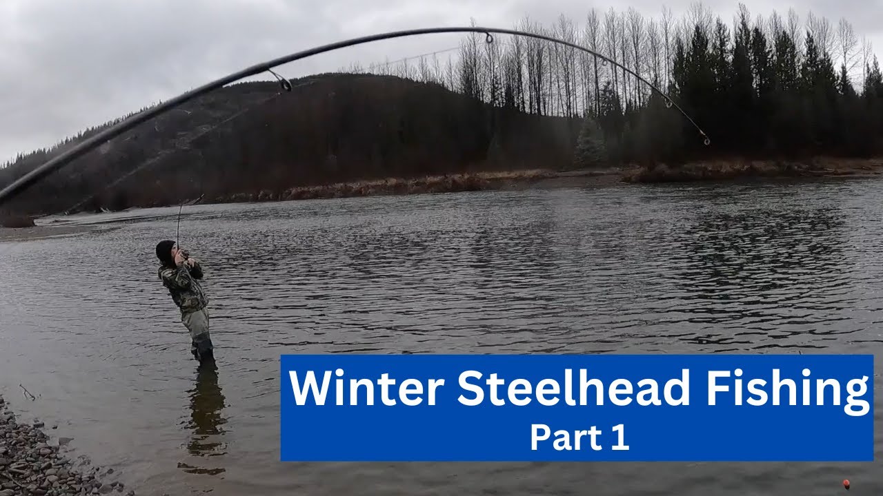 Winter Steelhead Fishing!!!! COLD day chasing Big Fish!!!Part 1 - YouTube