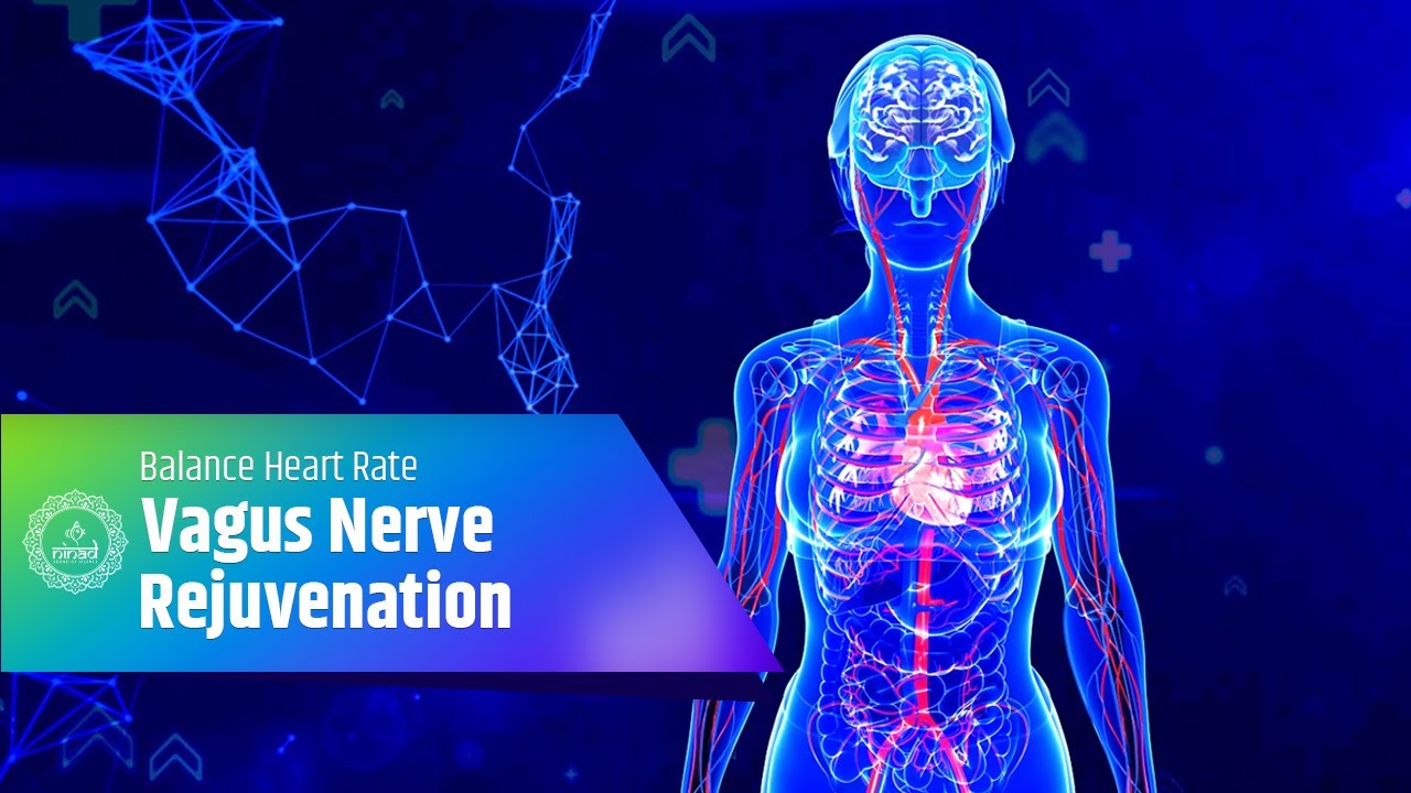 Vagus Nerve Rejuvenation | Balance, Repair And Harmonize Nerves ...