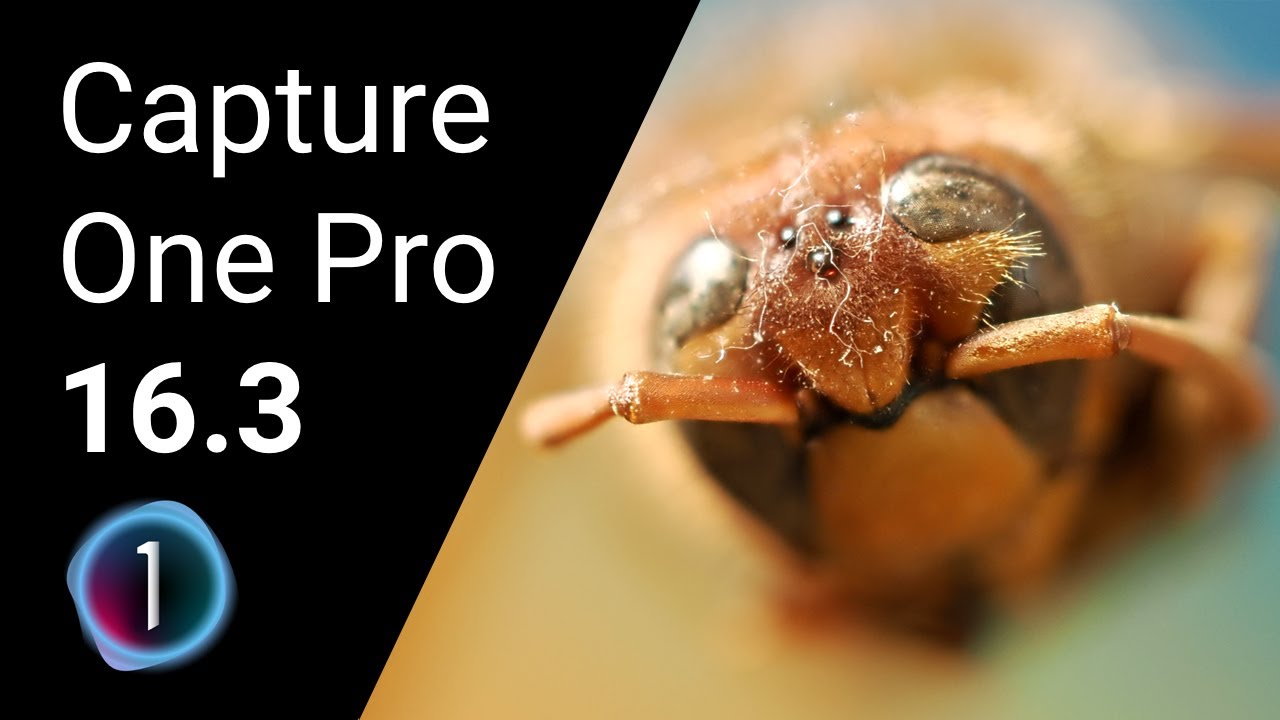 Capture One Pro tethering pro Olympus/OM System - YouTube