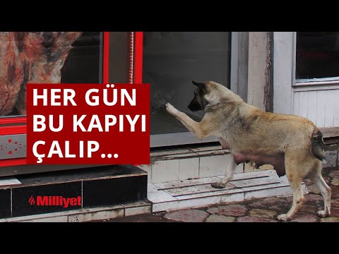 Her gün aynı saatte gelip bu kapıyı çalıyor ve...