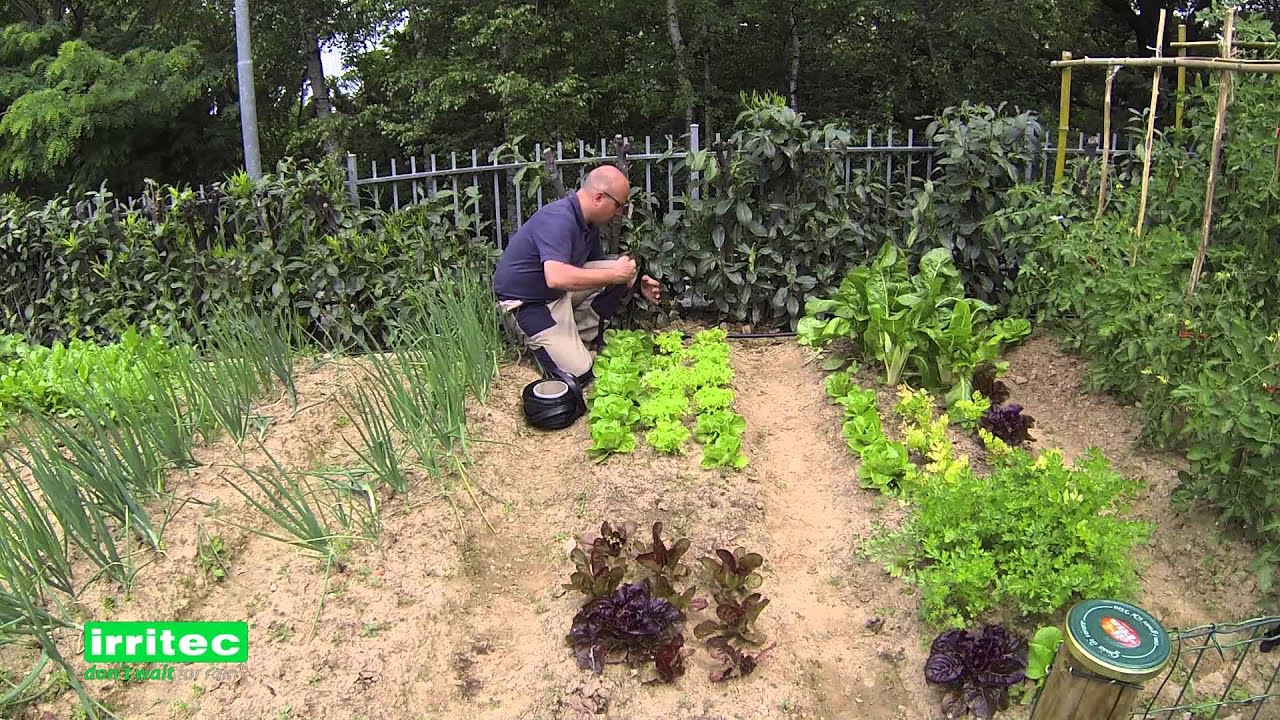 Irrigo (Français) - YouTube