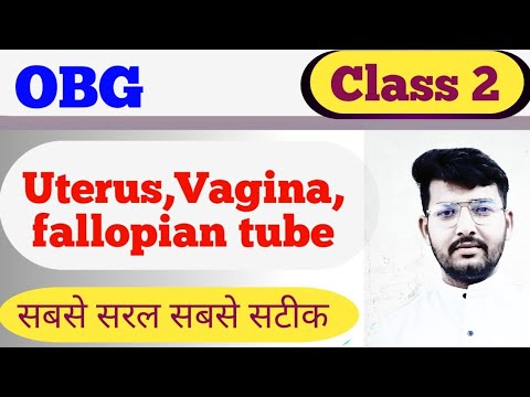 Female Reproductive System internal genital part by Mahendra Sir ...