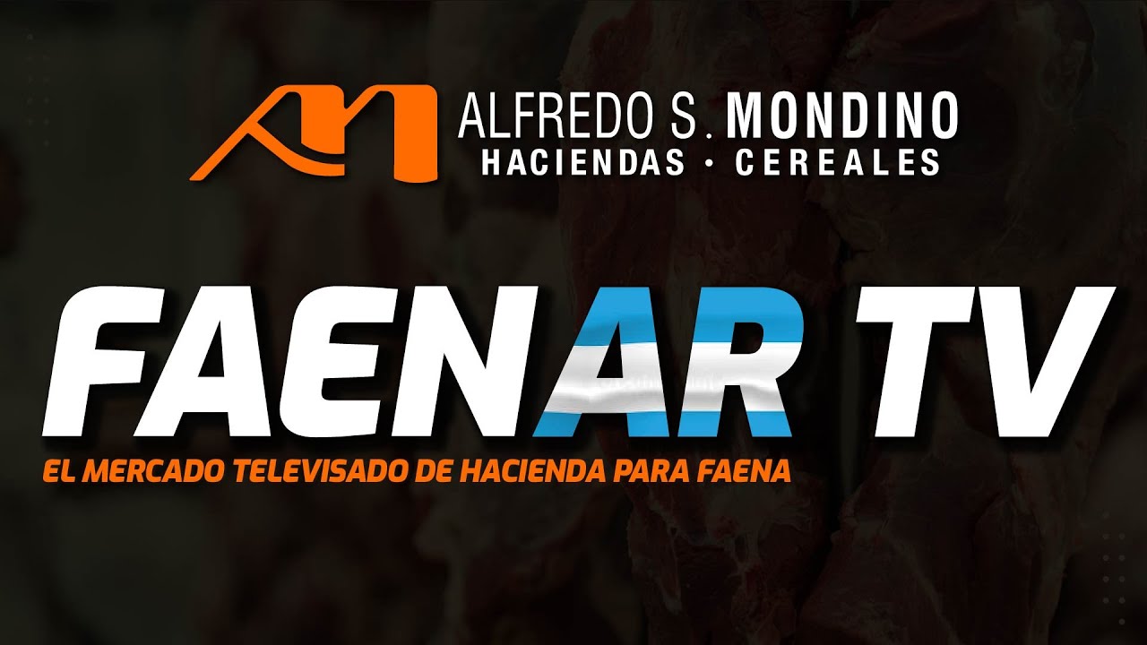 🔴EN VIVO | FAENAR TV, desde Rauch, Bs As | Alfredo S. Mondino, 30-11-23 ...