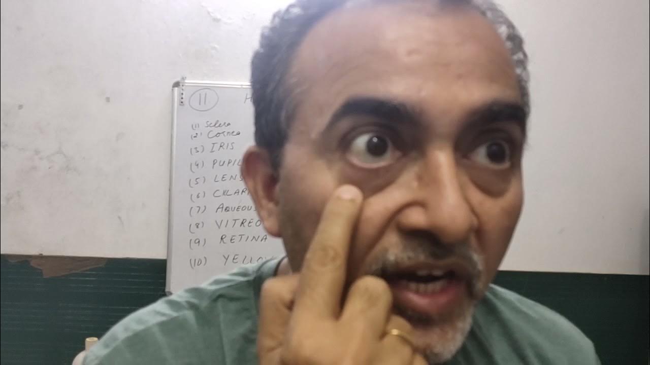 Class 10 Chapter 11 Part 1 YouTube class-10-chapter-11-part-1-youtube