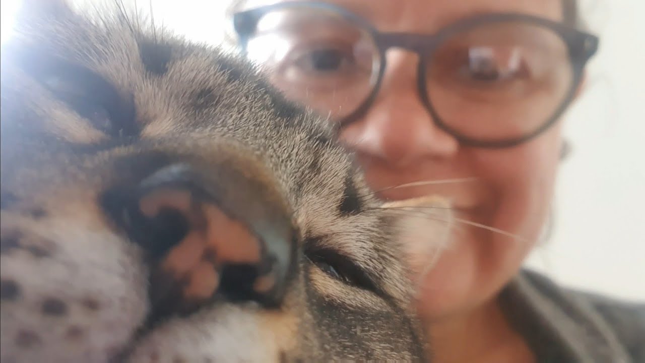 ASMR | 🐱💖 My MOST WEIRD video MEOWING in your ears | CLICKY mouth ...