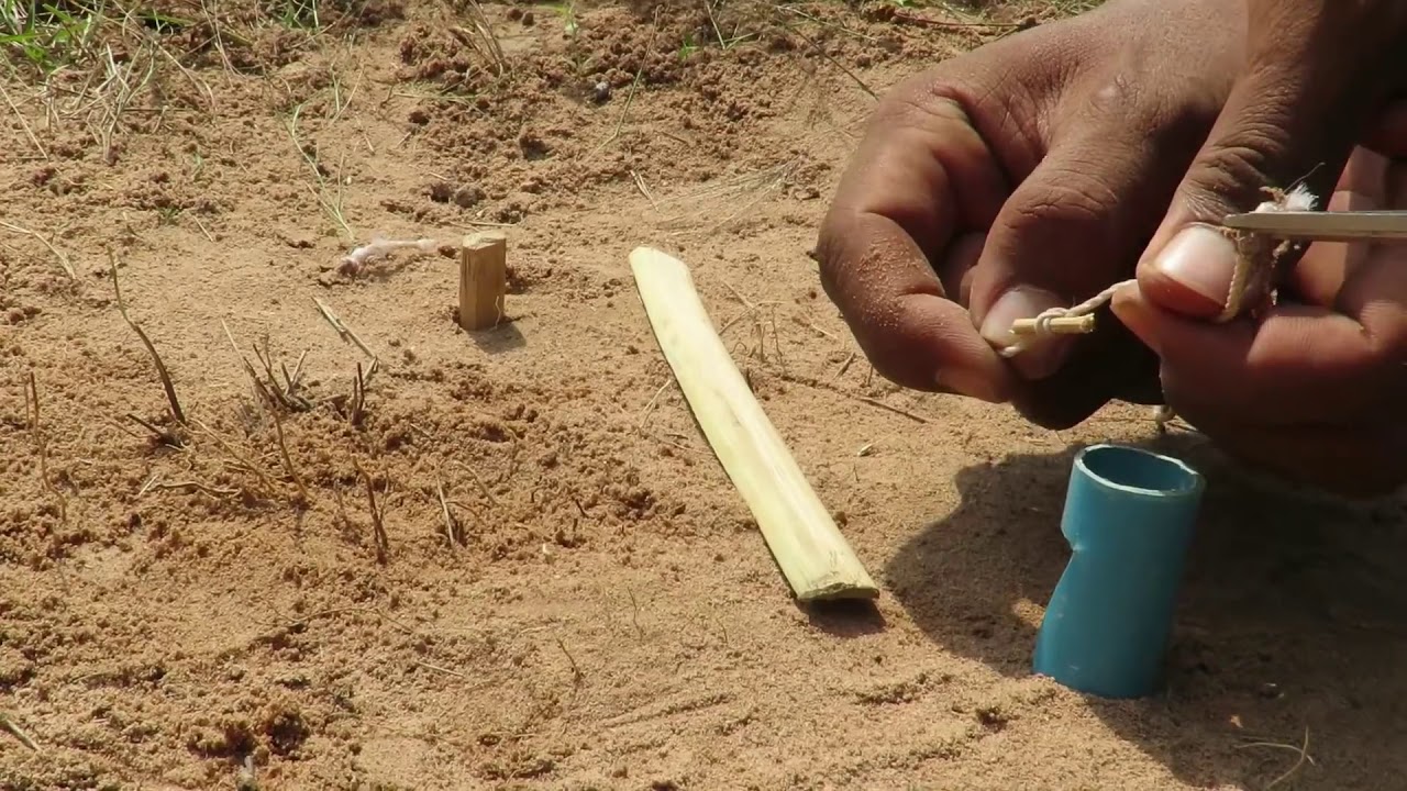 Awesome Monkey lure using a Turkey-DIY Snake Trap Technology - Learning ...