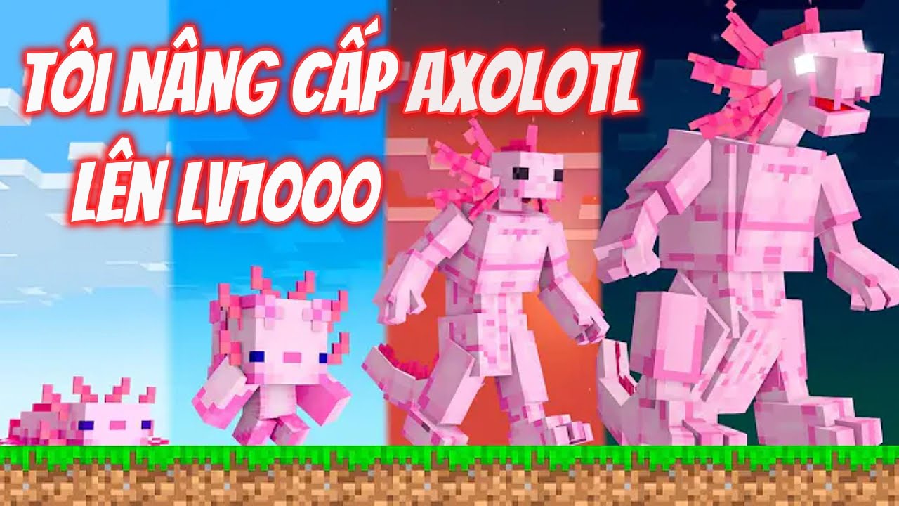 Tôi Nâng Cấp AXOLOTL Lên LV1000 Trong Minecraft - YouTube
