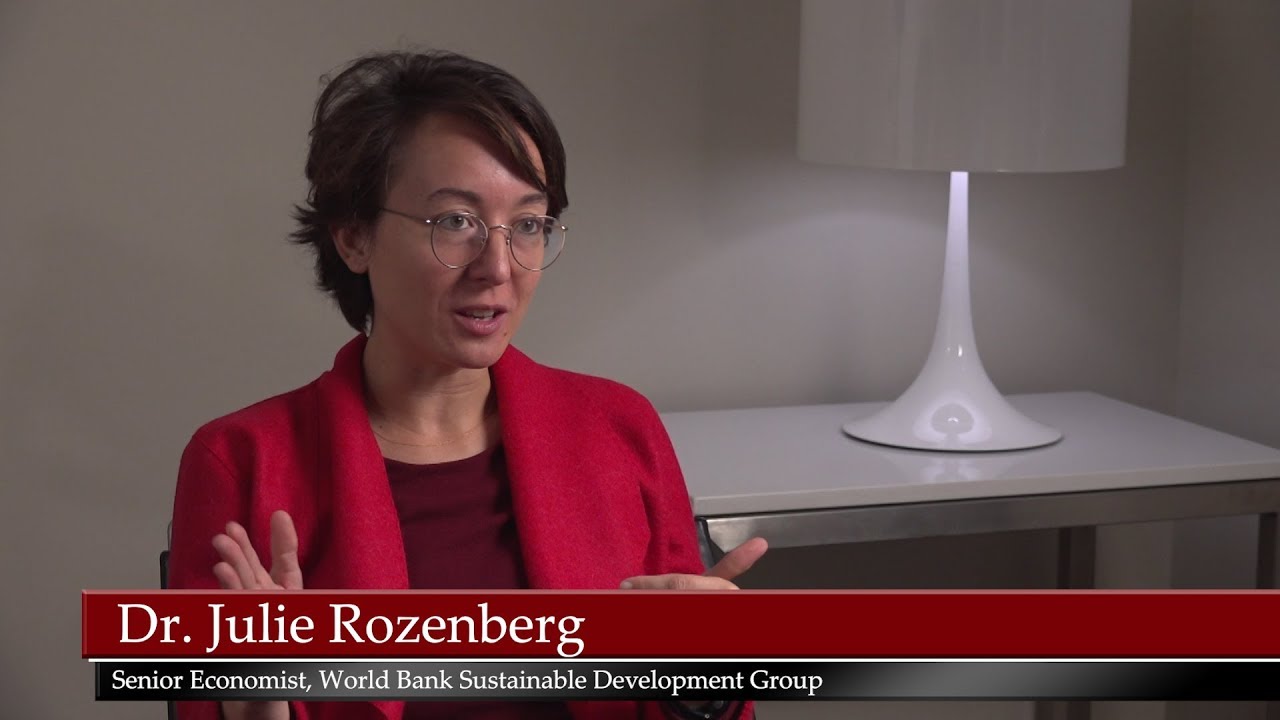 Systems Conversation October 18, 2019 - Dr. Julie Rozenberg - YouTube