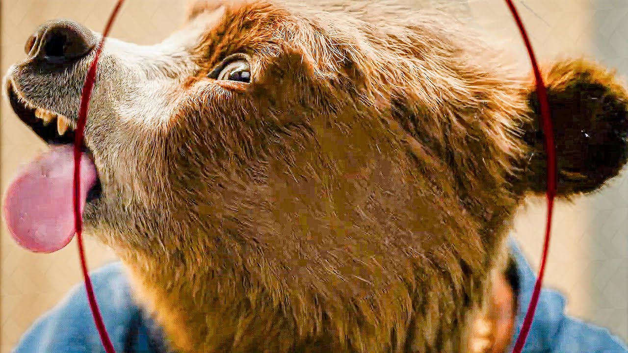 Paddington Tries Out The Photo Booth - PADDINGTON IN PERU New Teaser ...