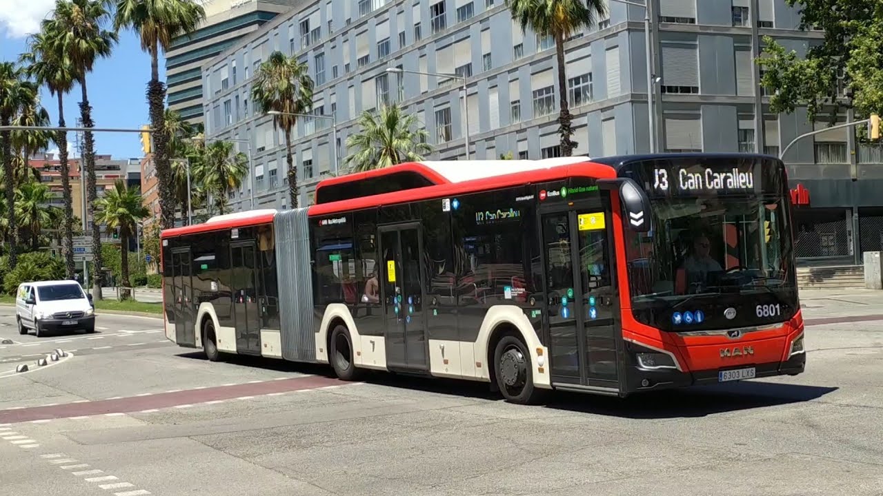 Circulación autobuses Transports de Barcelona (TMB) Paseo de la Zona ...