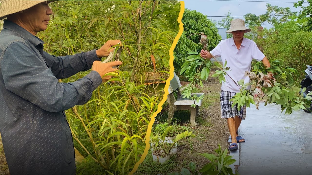 A Day of Hard Work: Harvesting and Weeding the Garden - YouTube