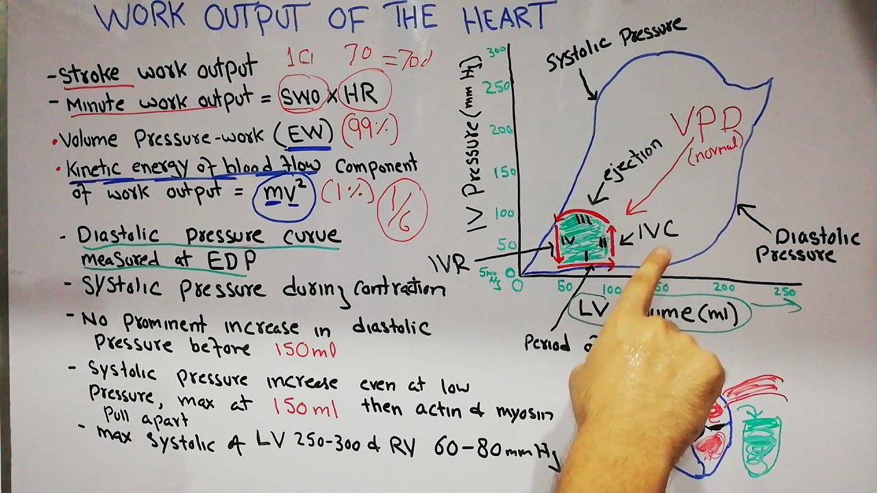 CVS physiology 10 | Work output of the heart | Stroke work output ...