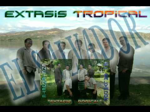 LA PLANTA EXTASIS TROPICAL - YouTube