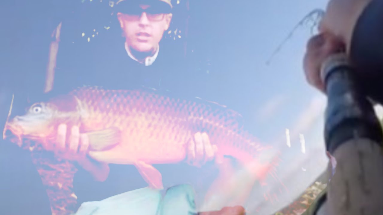 CARP fishing NY reservoir - YouTube