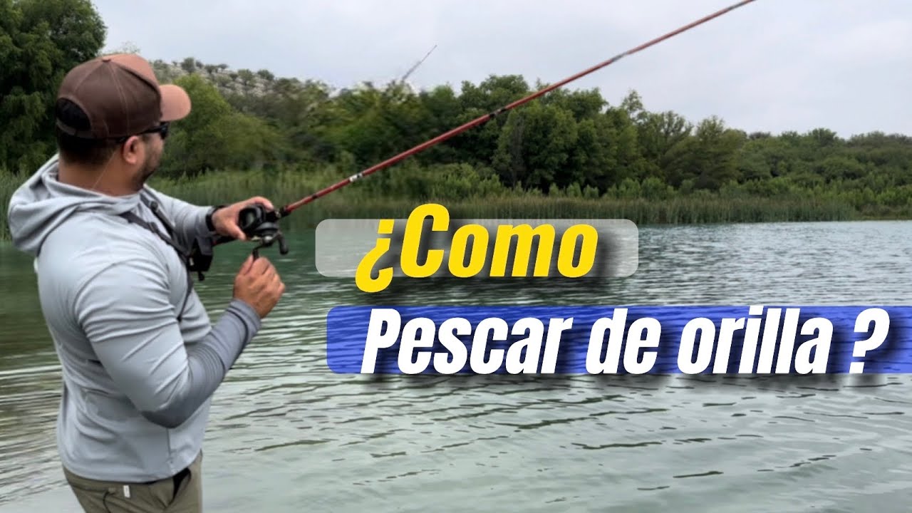 Pesca de LOBINA de ORILLA: Consejos, Señuelos y Técnicas - YouTube