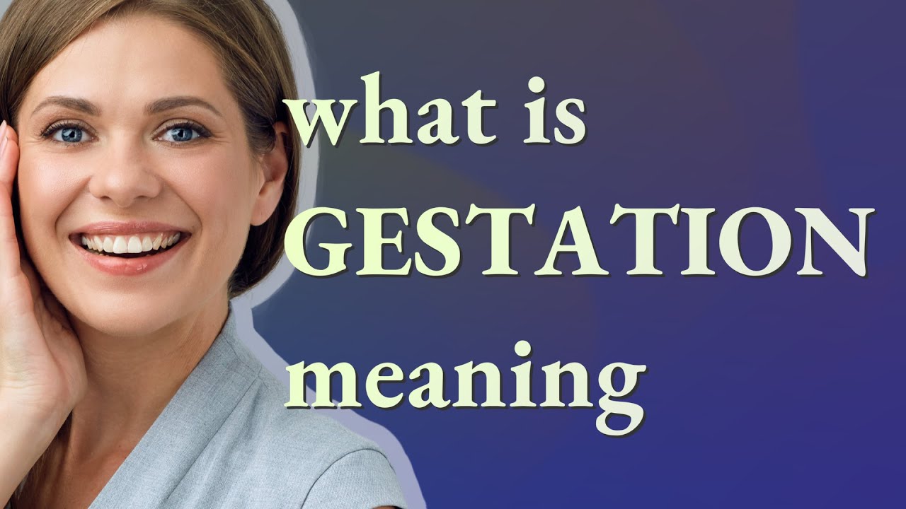 Gestation Meaning Of Gestation YouTube