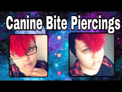Getting Canine Bite Piercings - YouTube