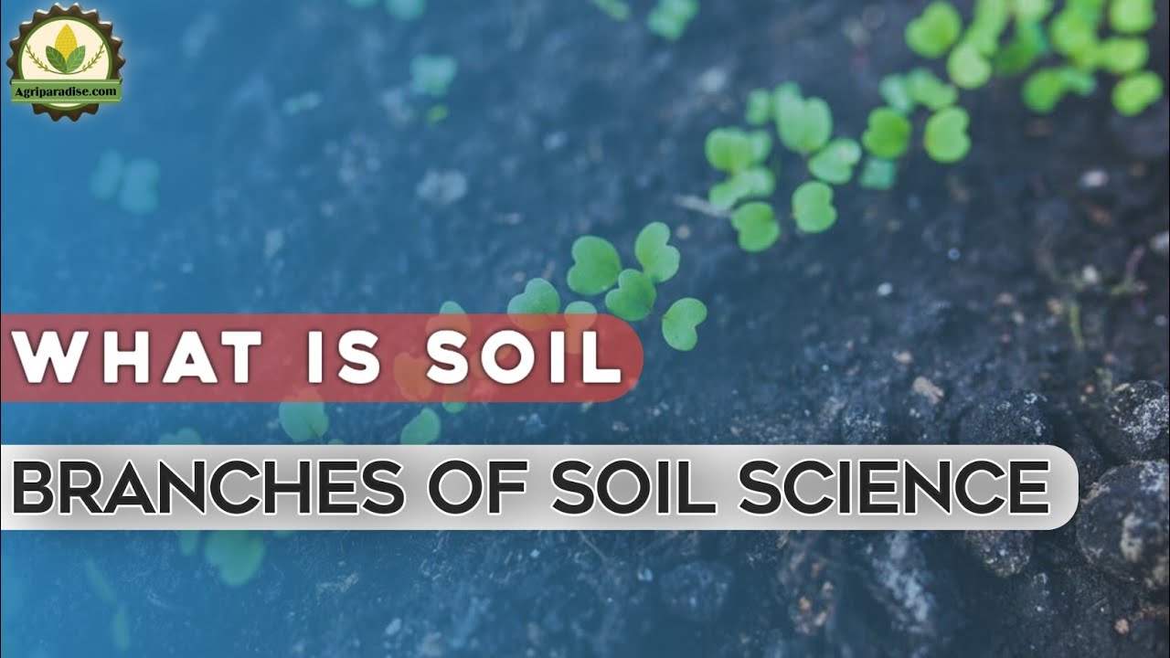 Soil | Soil & It's Branches | Soil & Branches of Soil Science in ...
