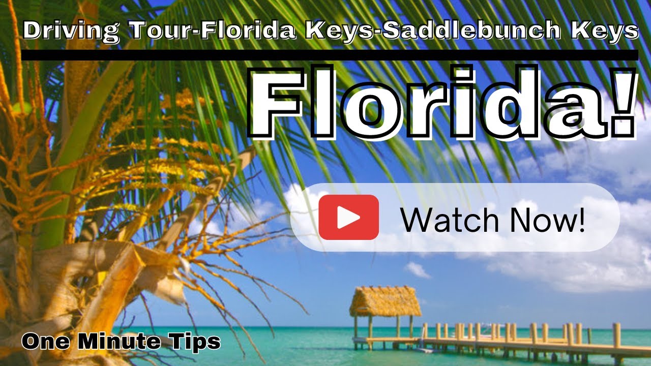 DRIVING TOUR-FLORIDA KEYS-SADDLEBUNCH KEYS FLORIDA!-Destinations-# ...