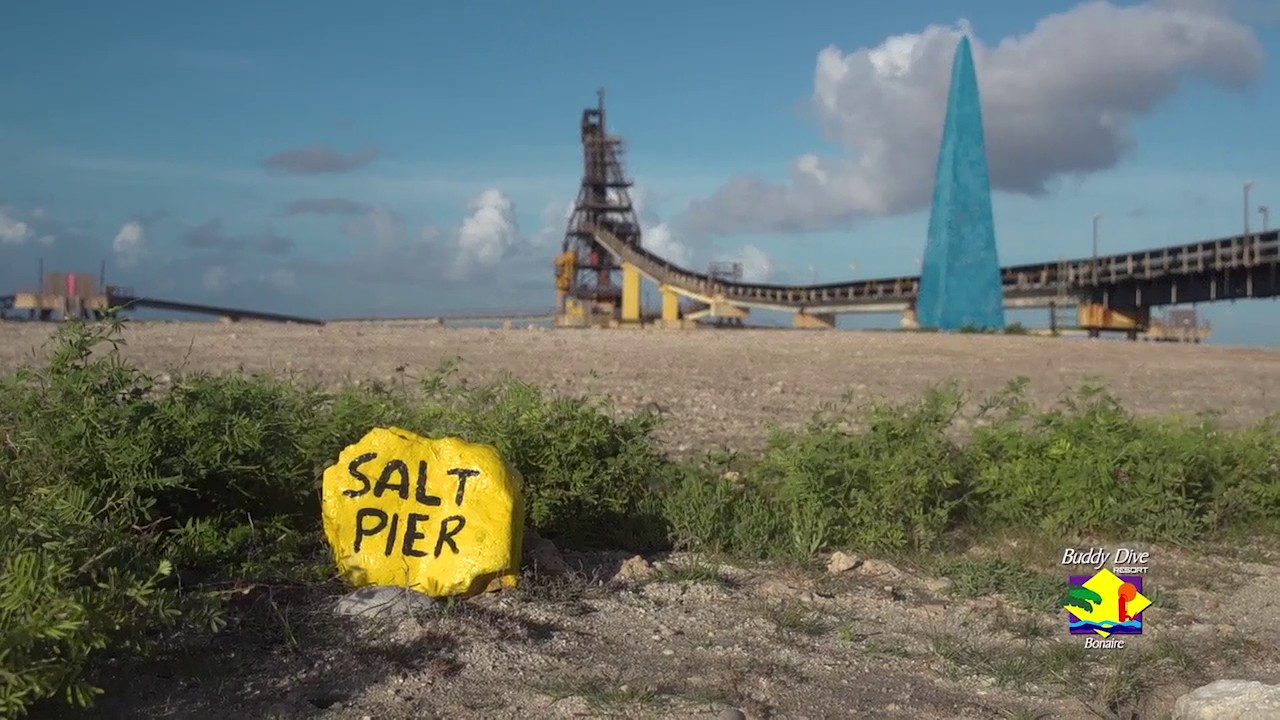 Scuba Diving Salt Pier in Bonaire - YouTube