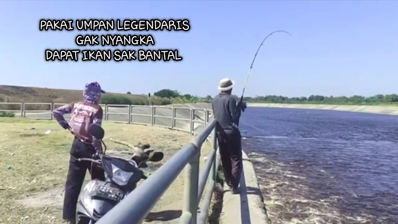PAKAI UMPAN LEGENDARIS GAK NYANGKA DAPAT IKAN SAK BANTAL - YouTube