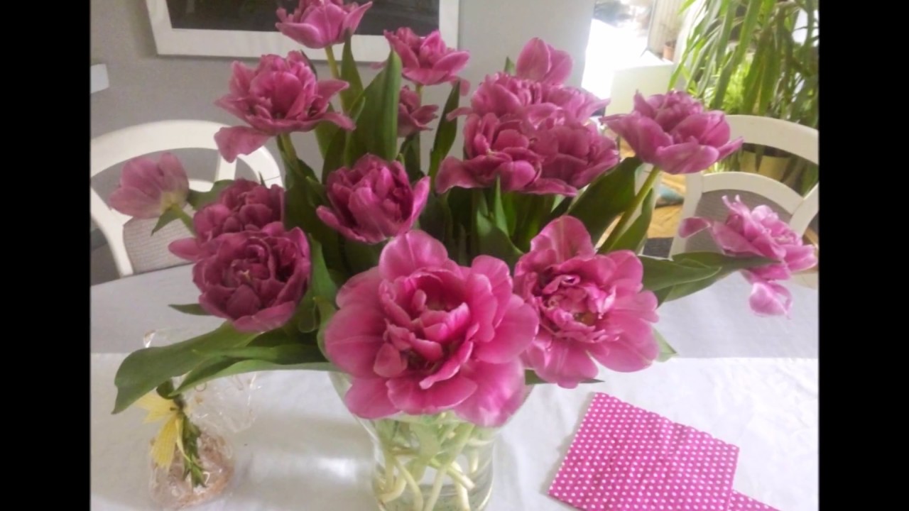 springtime memories - YouTube