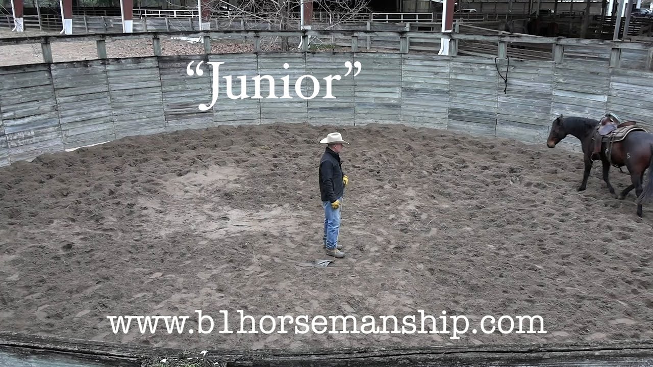 Move It R Lose It Day 4 - YouTube