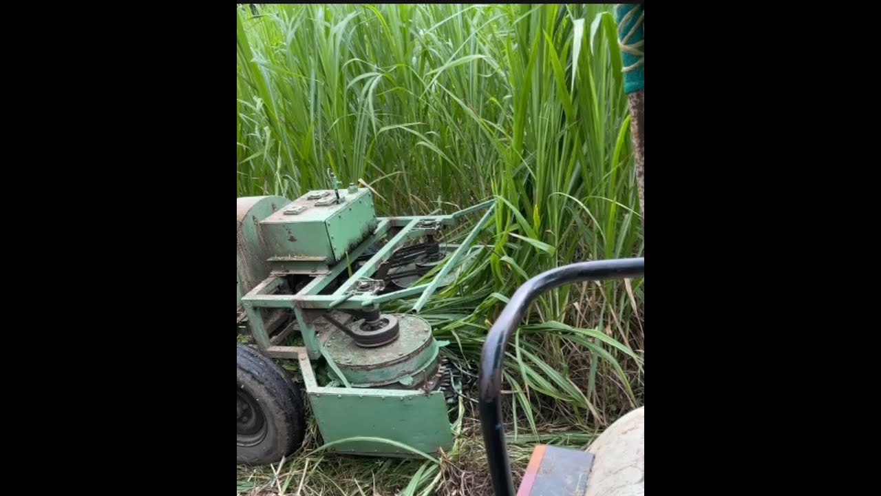 Napier grass cutting machine - YouTube