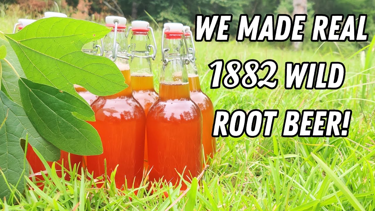 Early American Root Beer From Scratch (Naturally Carbonated!) - YouTube