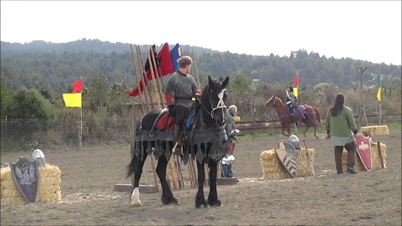 American Jousting Alliance @ Excalibur Medieval Tournament ~ Arcata, CA ...