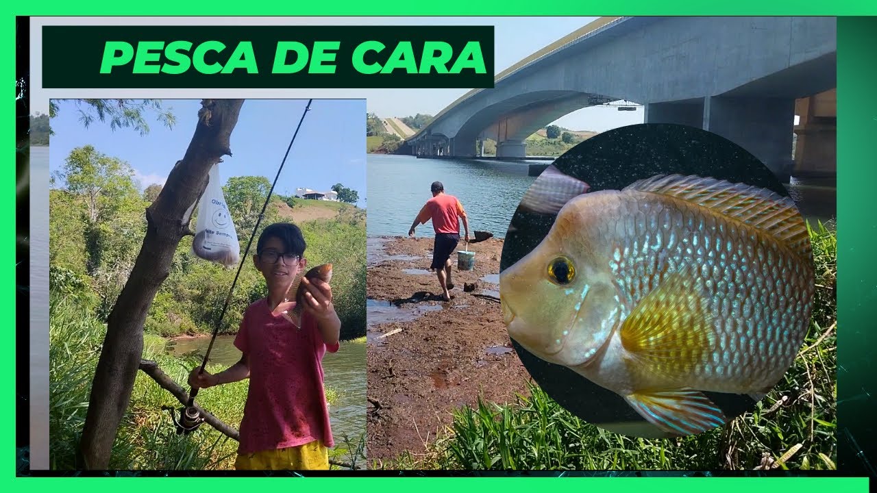 Pesca de cara na ponte da Marmelam dia - YouTube