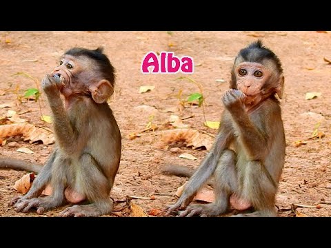 WOW! look! how delicious Alba is eating! - YouTube