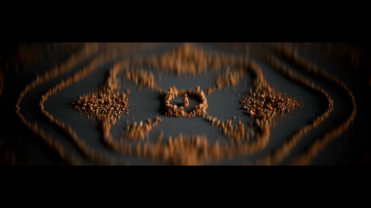 cymatic plate test - YouTube